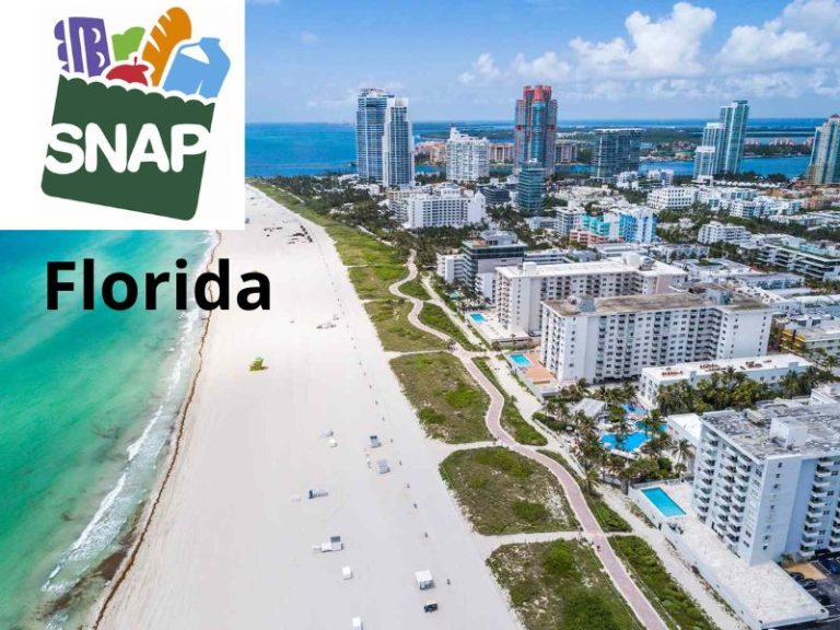 ¿Recibes SNAP en Florida? Estas personas tendrán el depósito antes del ...